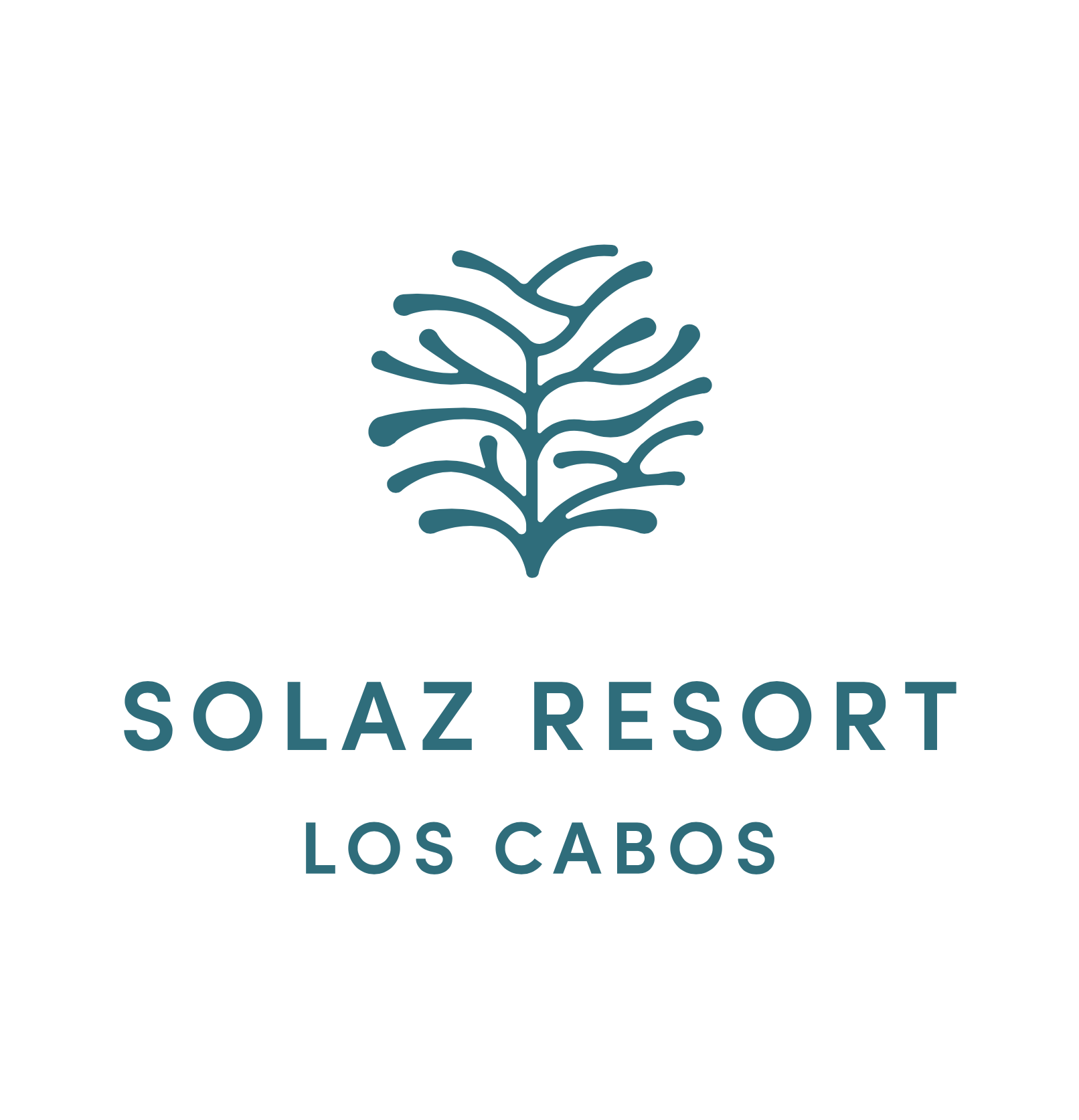 Bodas de lujo en Los Cabos | Solaz Resort